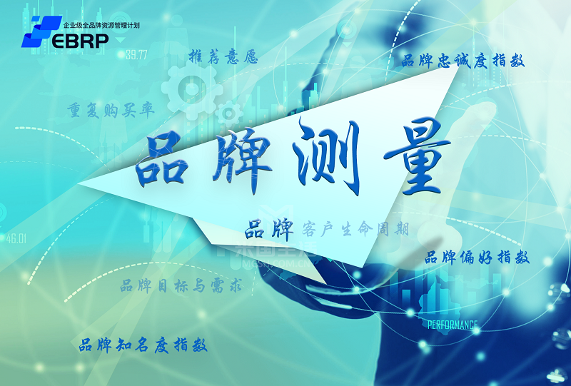 EBRP品牌管理体系 | 品牌测量-BSP-BM - 米国生活